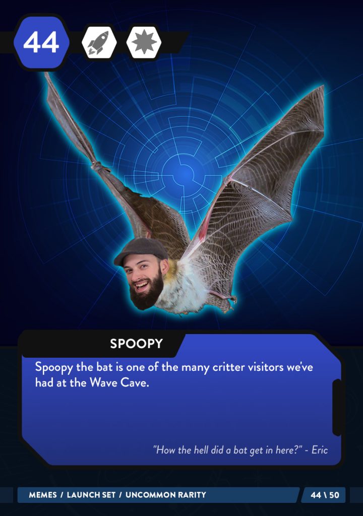 Cards – Blind Wave